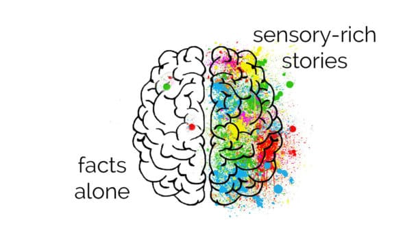 Brains on Stories: Implications for Family Historians - Treasure Chest ...